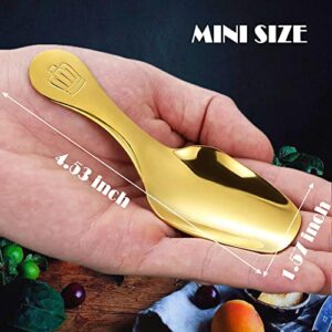 Mini Scoop for Canisters Stainless Steel Salt Spoon Candy Scoops Condiments Spoon Dessert Spoon Sugar Spoon for Tasting, Coffee, Ice Scream, Cake