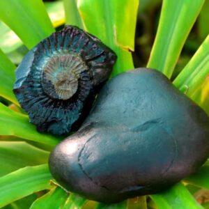 3.5"X3"Shri Laxmi Narayan Shaligram, Rare & Special One Piece, Religious Gifts, Saligram Stone - Gandaki River -I-6054