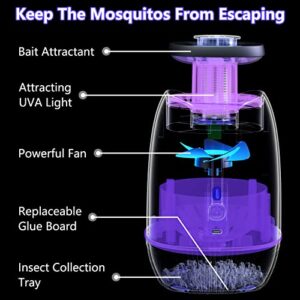 Pzqzmar Fruit Fly Trap,Electric Bug Zapper Indoor Insect Trap,Bug Catcher for Fruit Flies,Flying Insect,Mosquito,Gnat,Moth,Fly Mosquito Killer Lamp for Home House,UV Light&Sticky Glue,Plug-in(Black)