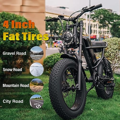 ZBZO Electric Bike Fat Tire Electric Bicycle 20" x 4.0" Ebike for Adults 1000W with Removable 48V Battery,30MPH 7 Speed Shifting, Dual Suspension Commuting Mountain Ebike