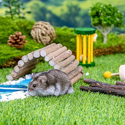 Nobleza Hamster Toys, 8 Pack Natural Wooden Guinea Pig Chew Toys and Accessories for Cage Set, Teeth Care Molar Rat Toys for Pet Rats, Dwarf Syrian Hamsters, Chinchillas, Gerbils, Small Animals