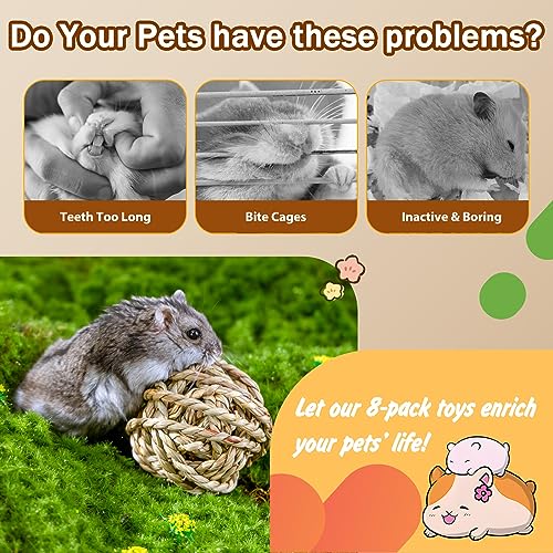 Nobleza Hamster Toys, 8 Pack Natural Wooden Guinea Pig Chew Toys and Accessories for Cage Set, Teeth Care Molar Rat Toys for Pet Rats, Dwarf Syrian Hamsters, Chinchillas, Gerbils, Small Animals