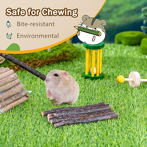 Nobleza Hamster Toys, 8 Pack Natural Wooden Guinea Pig Chew Toys and Accessories for Cage Set, Teeth Care Molar Rat Toys for Pet Rats, Dwarf Syrian Hamsters, Chinchillas, Gerbils, Small Animals