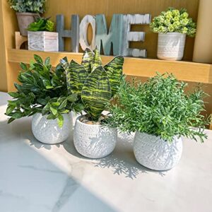 Winlyn Set of 3 Small Artificial Potted Plants - Eucalyptus, Rosemary & Tropical Snake Plant in White Geometric Pots for Table Centerpieces Shelf Windowsill Desk Indoor Outdoor Greenery Decor