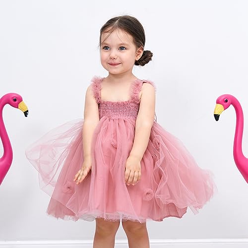 Miipat Baby Girls Tulle Dress Sleeveless Floral Butterfly Tutu Dress Toddler Girls Birthday Party Princess Dresses(DarkPink, 18-24M)