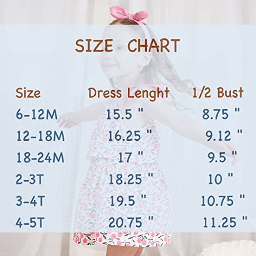 Sosomi Baby Blue Dress Sleeveless Baby Dress 12-18 Months Baby Girl Dress Summer Butterfly Dresses for Baby Girl Kid Floral Sundress Baby Girls' Dresses Flower Print Royal Blue Toddler Dress