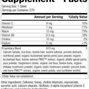 Standard Process Drenamin - Whole Food Antioxidant, Adrenal Support and Immune Support with Shitake, Alfalfa, Rice Bran, Riboflavin, Calcium Lactate, Choline - 270 Tablets