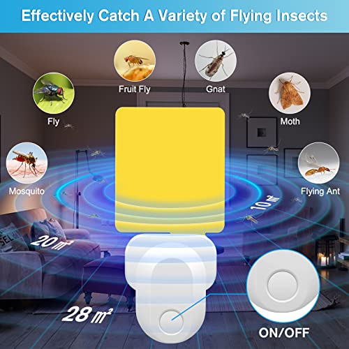 Flying Insect Trap Plug-In, 2023 Upgrade Mosquito Trap Gnat Killer Indoor, Safe Non-Toxic UV Light Attractant Indoor Plug-In Night Light Fly Trap with Sticky Pad for Flies, Gnats, Moths(1 Pack, White)