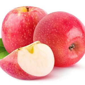 qauzuy garden 20 premium pink lady fuji gala apple seeds, tasty & high yield, non-gmo heirloom fruit seeds to plant garden outdoor, attract pollinators