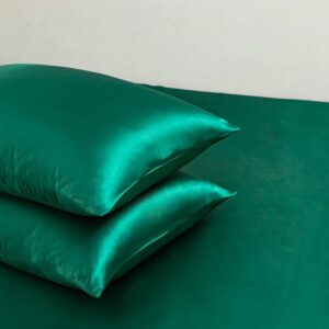 H HOUSEHOLD Satin Silk Pillowcases, Soft and Cozy, Wrinkle, Fade, Stain Resistant for Hair and Skin 2 Pack Super Soft Pillow Case with Envelope Closure (Queen, Dark Green)