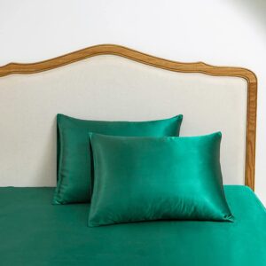 H HOUSEHOLD Satin Silk Pillowcases, Soft and Cozy, Wrinkle, Fade, Stain Resistant for Hair and Skin 2 Pack Super Soft Pillow Case with Envelope Closure (Queen, Dark Green)