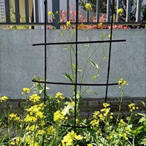 Black Plant Trellis Garden Trellis Clinging Roses Trellis Plant Cage Climbing Flower Support with Coating to Decorate Your Garden 2 Packs