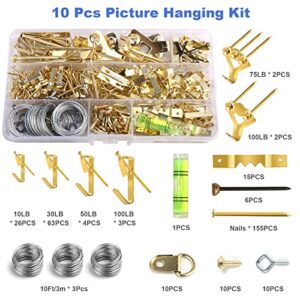 310 Pcs Picture Hanging Kit, Heavy Duty Picture Hangers for Drywall, Picture Hanging Hooks, Picture Hooks for Hanging Hardware Mirror, Pictures Frame Hanger With Nails Hanging Wire Sawtooth etc VOPTON