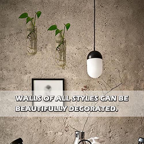 Bunhut Wall Planters for Indoor Plants,Wall Hanging Terrarium Planters,Glass Wall Planters for Floral Arrangement,Hanging Plant Holder, Wall Vase,Wall Mounted Planters (4 Glass Wall Planter)