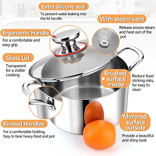 P&P CHEF 4 Quart Stockpot with Lid, Stainless Steel Tri-Ply Cooking Soup Pasta Stock Pot for Gas/Induction/Electric Stoves, With Glass Cover & Two Handles, Heavy Duty & Dishwasher Safe