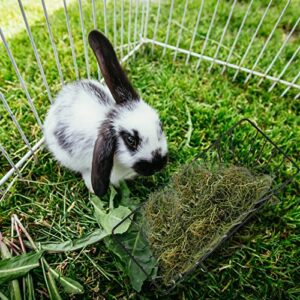 Pelopy 4 Pcs Rabbit Hay Feeder with Hooks Hay Feeder Guinea Pig Heavy Duty Metal Rack Hay Holder for Rabbit Guinea Pig Bunny Chinchilla Small Animal Pet Supplies, 9.1 x 3.9 x 3.7 Inch, Black and White