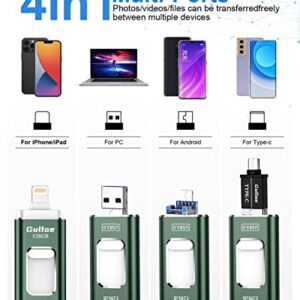 Flash Drive for iPhone 128GB, Gulloe USB Memory Stick Photo Stick External Storage Thumb Drive for iPhone iPad Android Computer (Light Green)