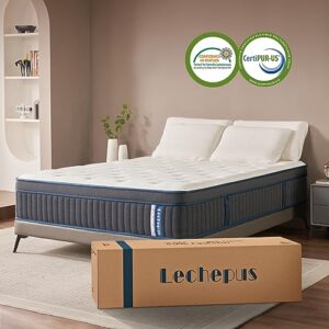 King Mattress, Lechepus 14 Inch Hybrid Mattress,Plush Gel Memory Foam and Pocket Springs Mattress in Box,Fiberglass Free,King Size Mattressfor Cooler Supportive & Back Pain Relief, 76" X 80" X 14"