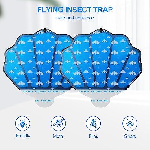 Flying Insect Trap HU002 Plug-in Fly Trap Indoor, Electric Bug Killer Indoor Gnat Catcher Fly Tapper with Night Light UV Attractant Catcher for Bedroom, Kitchen, Office (1 Pack, Black)