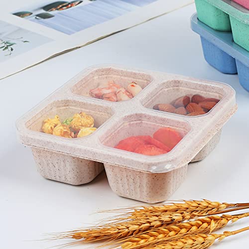 buluker 4 Pack Bento Snack Containers Set， 4 Compartment Food Storage Containers Wheat Straw Meal Prep Lunch Box Plastic Food Storage Containers, Microwave and Dishwasher Safe (4colour)