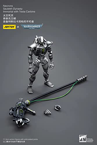 JoyToy Warhammer 40K: Necrons Sautekh Dynasty Immortal with Tesla Carbine 1:18 Scale Action Figure