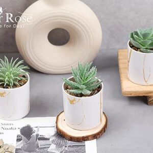 Der Rose 3 Packs Small Fake Plants Succulents Plants Artificial in Pots for Home Office Desk Decor for Women