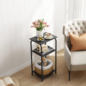 Tajsoon Tall End Table 3 Tier 30 Inch Narrow Side Table with Storage Shelves, Small Table Stand for Small Spaces with Metal Frame, Small Sofa Table for Living Room, Bedroom, Office, Black