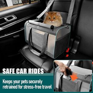 GAPZER Pet Carrier for Large Cats 20 lbs+ / Soft Sided Small Dog Travel Carrier Top Load/Collapsible Carrier Bag for Big Cat / 2 Kittens Sturdy Transport Carrier Long Trips/Medium Cats 15 pounds