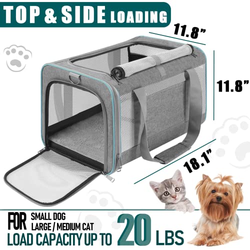 GAPZER Pet Carrier for Large Cats 20 lbs+ / Soft Sided Small Dog Travel Carrier Top Load/Collapsible Carrier Bag for Big Cat / 2 Kittens Sturdy Transport Carrier Long Trips/Medium Cats 15 pounds