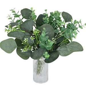 bleum cade 8pcs artificial eucalyptus stems with leaves, mixed faux eucalyptus stems plants, fake silver dollar eucalyptus greenery stems for vase floral arrangement wedding bouquet centerpiece decor