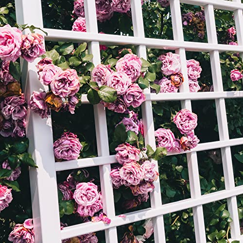 56.7" W x 97" H Vinyl Trellis Support for Outdoor Climbing Plants and Rose Vines, Durable Décor Lattice for Garden&Backyard, Lawn