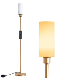 edishine led corner floor lamp with glass lampshade, modern dimmable lamp with remote, 5 cct, 65" tall standing light for living room, bedroom, office, bulb included (gold)