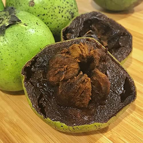 Diospyros Digyna Seeds Black Sapote Rich, Dark Brown Flesh Culinary Uses Low in Calories and a Good Source of Dietary Fiber, Vitamins, and Minerals 20Pcs by YEGAOL Garden