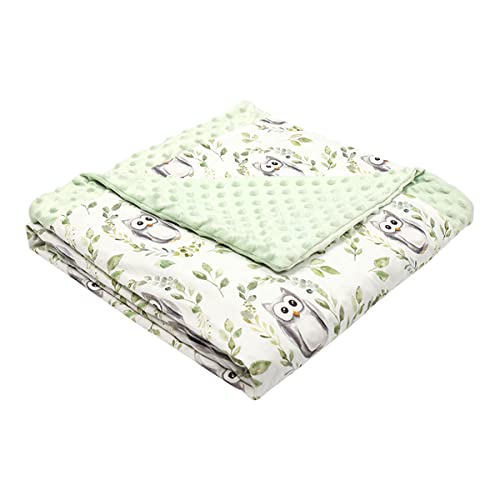 Owl Leaf Wreath Printed Baby Receiving Blanket,29.5" x 47.2" Plush Blanket with Double Layer Dotted Backing, Cozy Minky Fleece Blanket Reversible Newborn Boys Girls Nursery Stroller Crib Baby Blanket