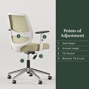 Branch Daily Chair - Sustainable and Stylish Mesh Computer Office Chair with Swivel, Lumbar Rest, and Adjustable Armrests - Comfortable Seating for Improved Posture and Productivity - Green-White