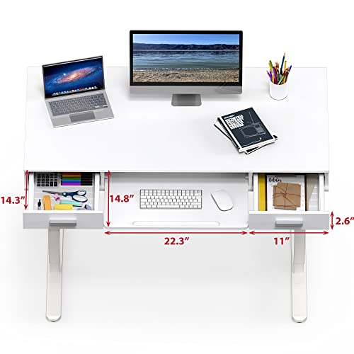 SHW 48-Inch Electric Height Adjustable Desk with Keyboard Tray and Two Drawers