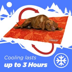 Coleman Reversible Cooling Pet Mat, Medium, 24" x 30", Red and Coral