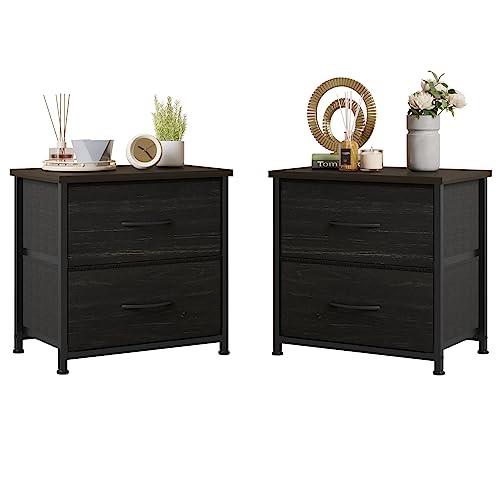 LUMTOK Nightstand with Drawer, 2 Drawers Dresser for Bedroom, Small Night Stand and Dressers Sets with 2 Fabric Drawers, End Table with Drawer for Living Room - Black Wood Veins (1PCS)