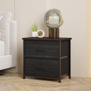 LUMTOK Nightstand with Drawer, 2 Drawers Dresser for Bedroom, Small Night Stand and Dressers Sets with 2 Fabric Drawers, End Table with Drawer for Living Room - Black Wood Veins (1PCS)