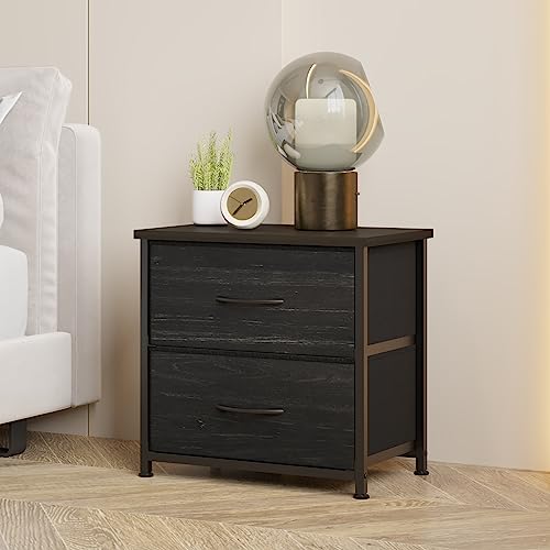 LUMTOK Nightstand with Drawer, 2 Drawers Dresser for Bedroom, Small Night Stand and Dressers Sets with 2 Fabric Drawers, End Table with Drawer for Living Room - Black Wood Veins (1PCS)