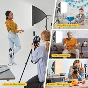 Torjim Softbox Photography Lighting Kit, 16'' x 16'' Professional Softbox Lighting Kit with 85W 3000-7500K LED Bulbs, Studio Lights for Photography/Video Recording/Live Streaming