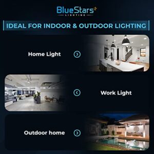 BlueStars [2023 Updated 4 Packs E26/E27 LED Corn Light Bulbs 20W - 150W Equivalent 6500K Cool Daylight White 1600 lumens Non-dimmable for Home Garage Indoor Ceiling Fan and Chandelier