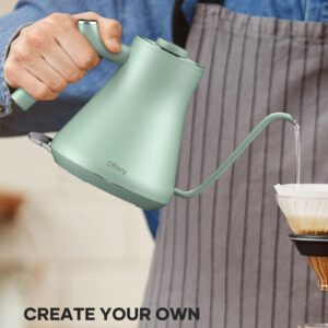 Electric Kettle, Offacy Gooseneck Kettle with 6.8mm Fine V-Shaped Spout, Auto Shut-Off & Boil Dry Protection, BPA Free, 1200 Watt Quick Heating, 0.9L, Light Green