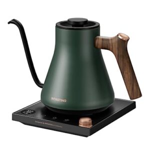 Electric Kettles, INTASTING Gooseneck Electric Kettle, ±1℉ Temperature Control, Stainless Steel Inner, Quick Heating, for Pour Over Coffee, Brew Tea, Boil Hot Water, 0.9L Green