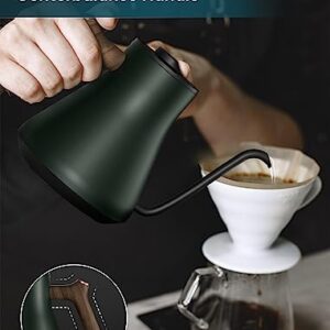 Electric Kettles, INTASTING Gooseneck Electric Kettle, ±1℉ Temperature Control, Stainless Steel Inner, Quick Heating, for Pour Over Coffee, Brew Tea, Boil Hot Water, 0.9L Green