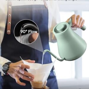 Electric Kettle, Offacy Gooseneck Kettle with Temperature Control, Pour Over Kettle & Coffee Kettle, 100% Food Grade 304 Stainless Steel, Tea Kettle 1200 Watt Quick Heating, 0.9L, Light Green