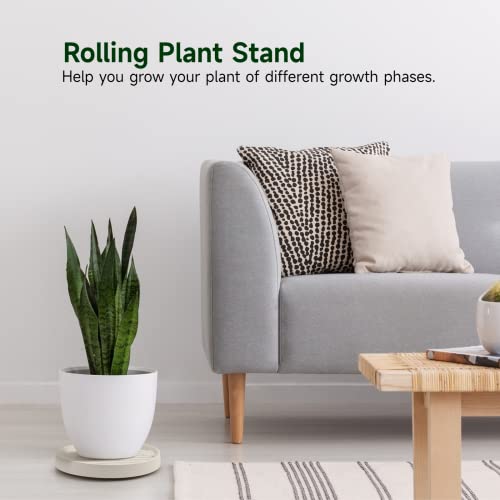 2 Packs Rolling Plant Caddies, 12Inch Heavy Duty Plant Caddy with Hidden Wheels, Rolling Planter Caddies with Wheels, 360° Rolling Plant Roller Base with Casters, Beige