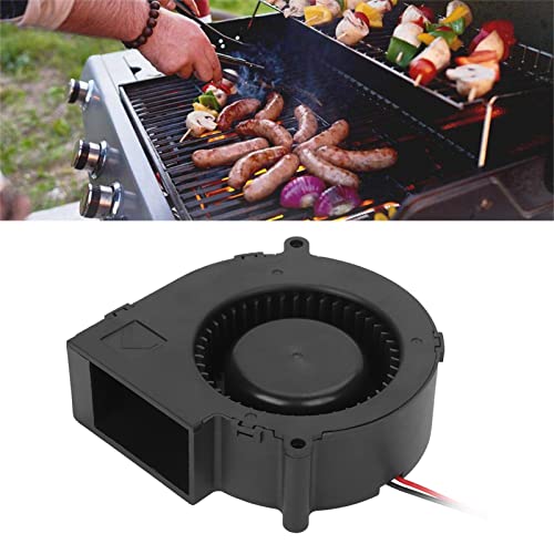 Joyzan BBQ Fan DC 12V Air Turbo Blower, Centrifugal Brushless Cooling Blower Mover Ventilation Inflatable Dryer Electric Fire Starter Cooking Portable for Barbecue Picnic Camping Charcoal Tool 2.85A