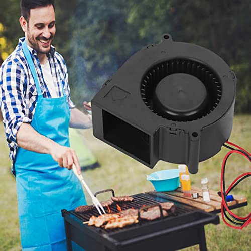 Joyzan BBQ Fan DC 12V Air Turbo Blower, Centrifugal Brushless Cooling Blower Mover Ventilation Inflatable Dryer Electric Fire Starter Cooking Portable for Barbecue Picnic Camping Charcoal Tool 2.85A