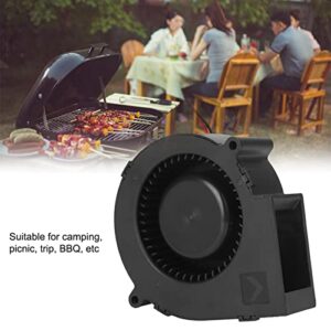 Joyzan BBQ Fan DC 12V Air Turbo Blower, Centrifugal Brushless Cooling Blower Mover Ventilation Inflatable Dryer Electric Fire Starter Cooking Portable for Barbecue Picnic Camping Charcoal Tool 2.85A